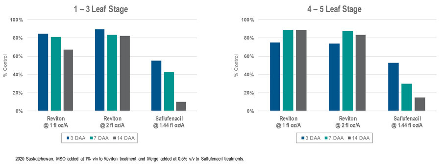Reviton: Control weeds in wheat: HELM Crop Solutions US
